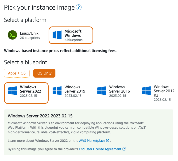 使用 Amazon Lightsail 在 Windows Server 上部署 Aspnet Core 应用程序 8555