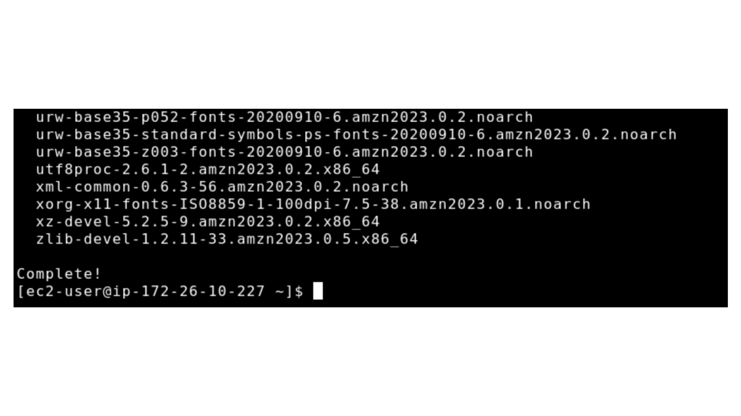使用 Amazon Lightsail 快速部署和运行 Python 应用程序
